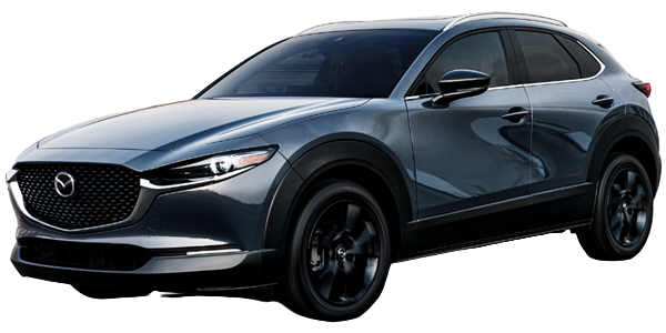 Web Design Mastery | Car Rental