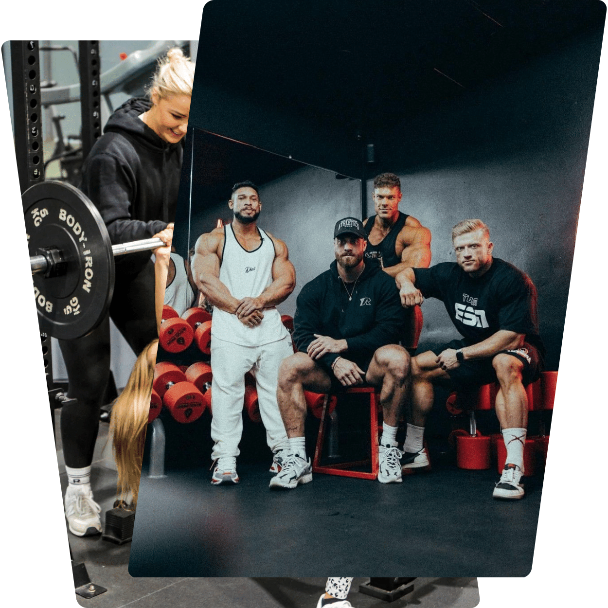 Web Design Mastery | FitClub