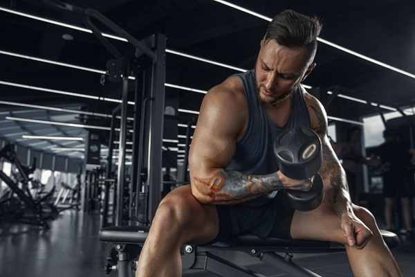 Web Design Mastery | FitPhysique
