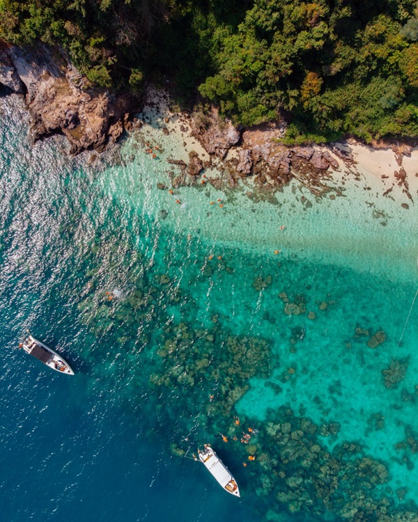 Web Design Mastery | Travelty